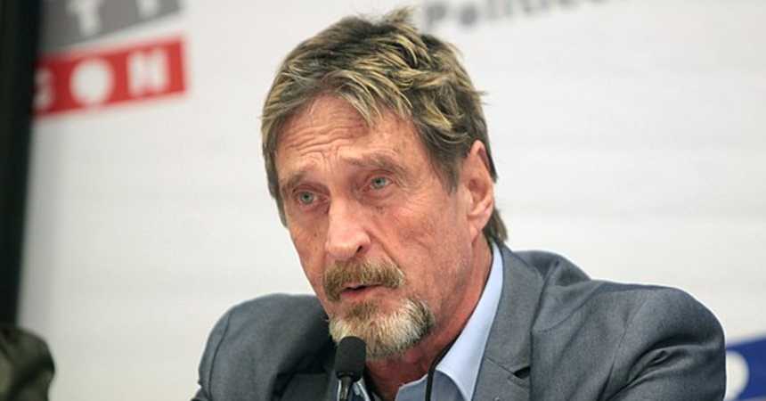 John Mcafee Wikipedia